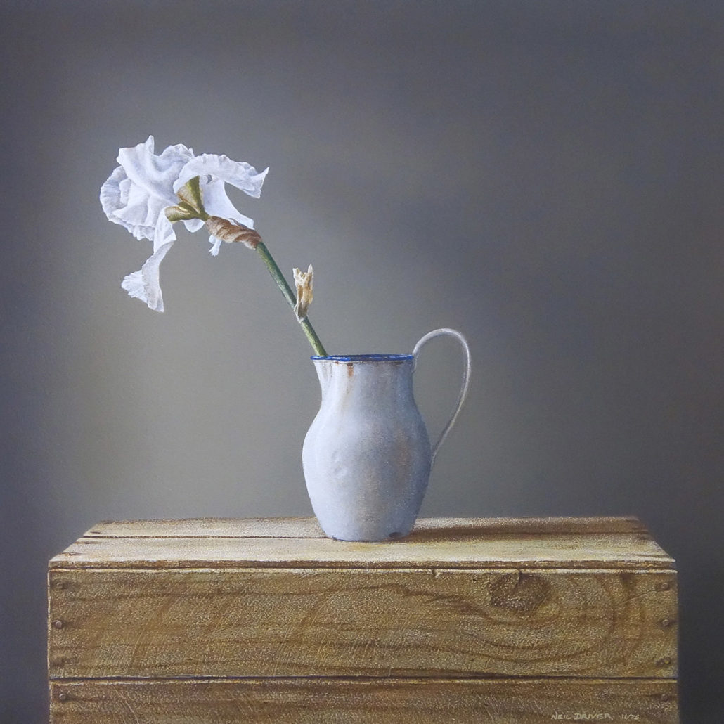 Neil Driver – Parnell Gallery