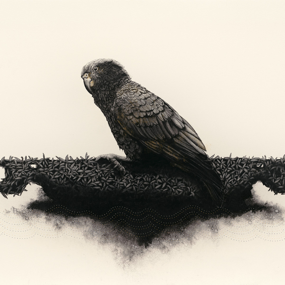 Gareth Barlow – Parnell Gallery