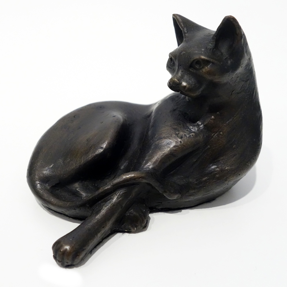 Cat by Gerard McCabe – Parnell Gallery