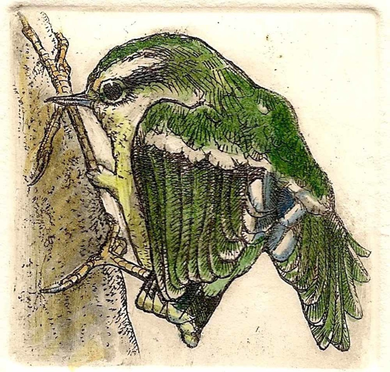 Rifleman by Russell Jackson – Parnell Gallery