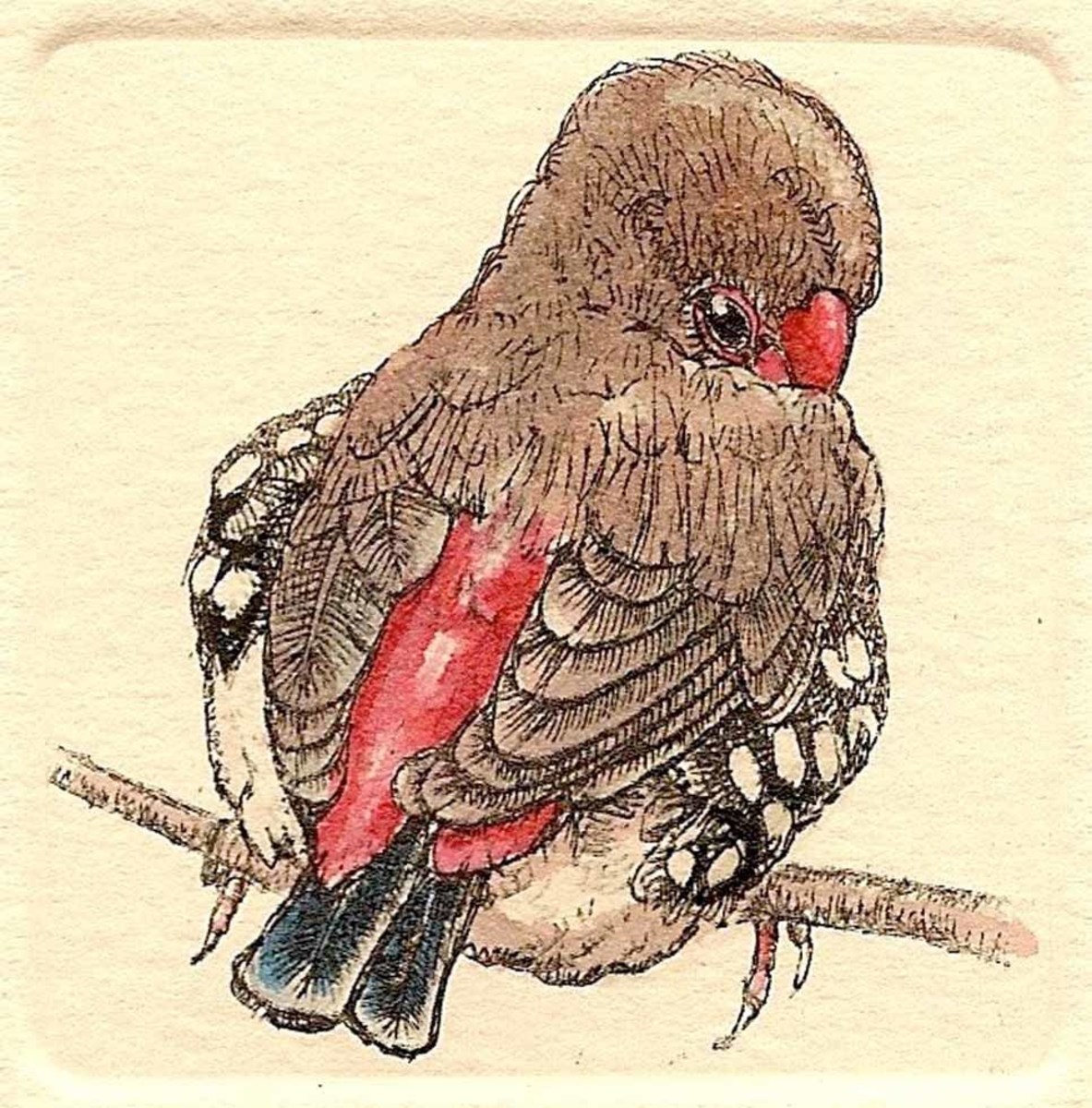 Rifleman by Russell Jackson – Parnell Gallery