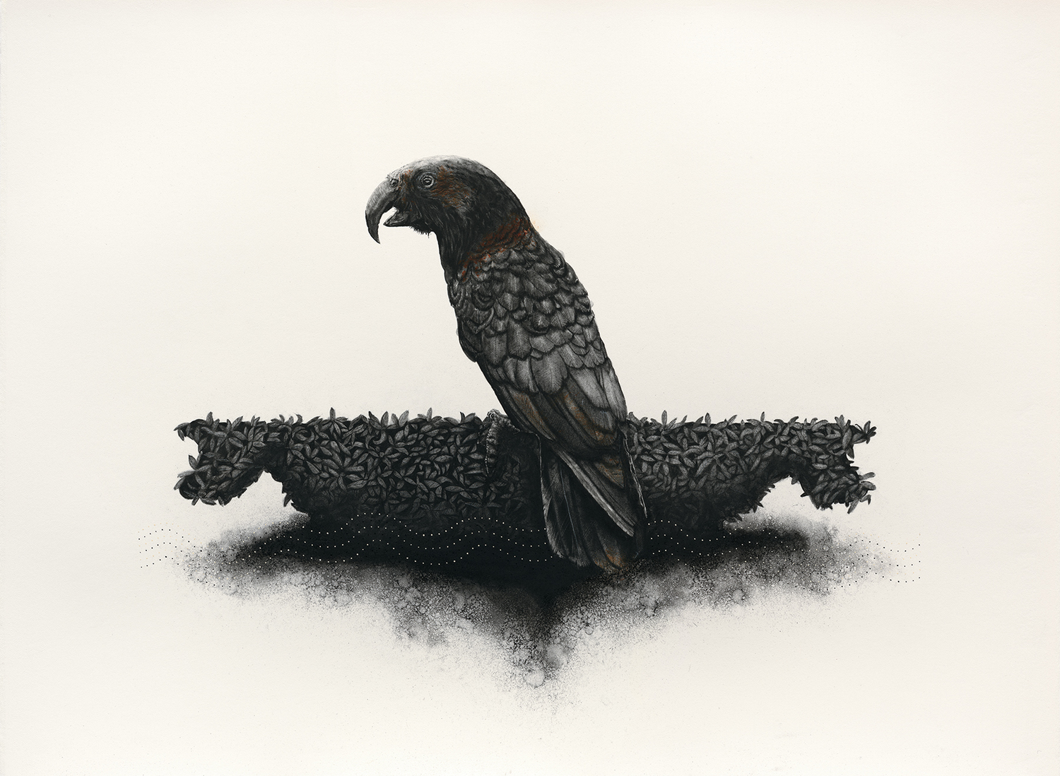 The Kaka Crossroad by Gareth Barlow - Parnell Gallery