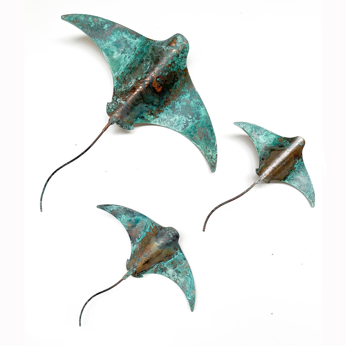Stingrays (set of 3) by Daniel Wright – Parnell Gallery