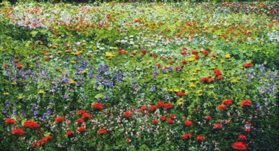 Peter Hackett – Parnell Gallery