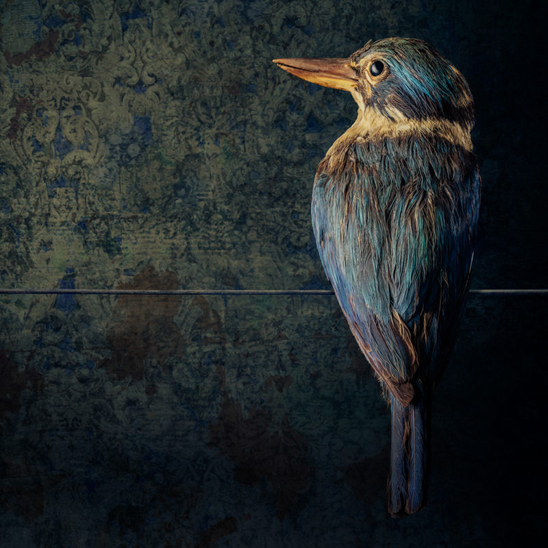 All Artists – Parnell Gallery