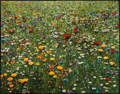 Peter Hackett – Parnell Gallery