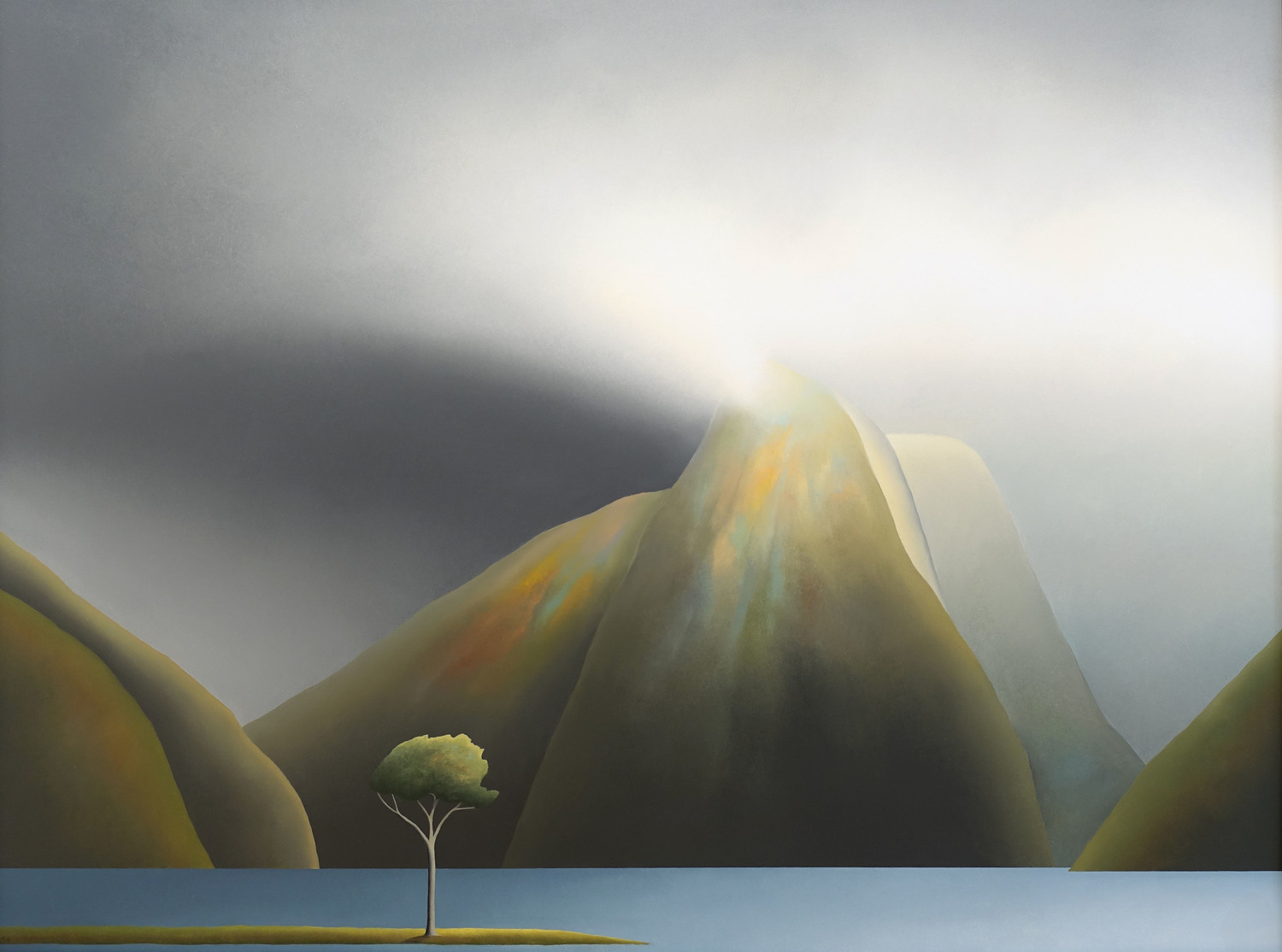 The Milford Tree by Stephen Howard – Parnell Gallery