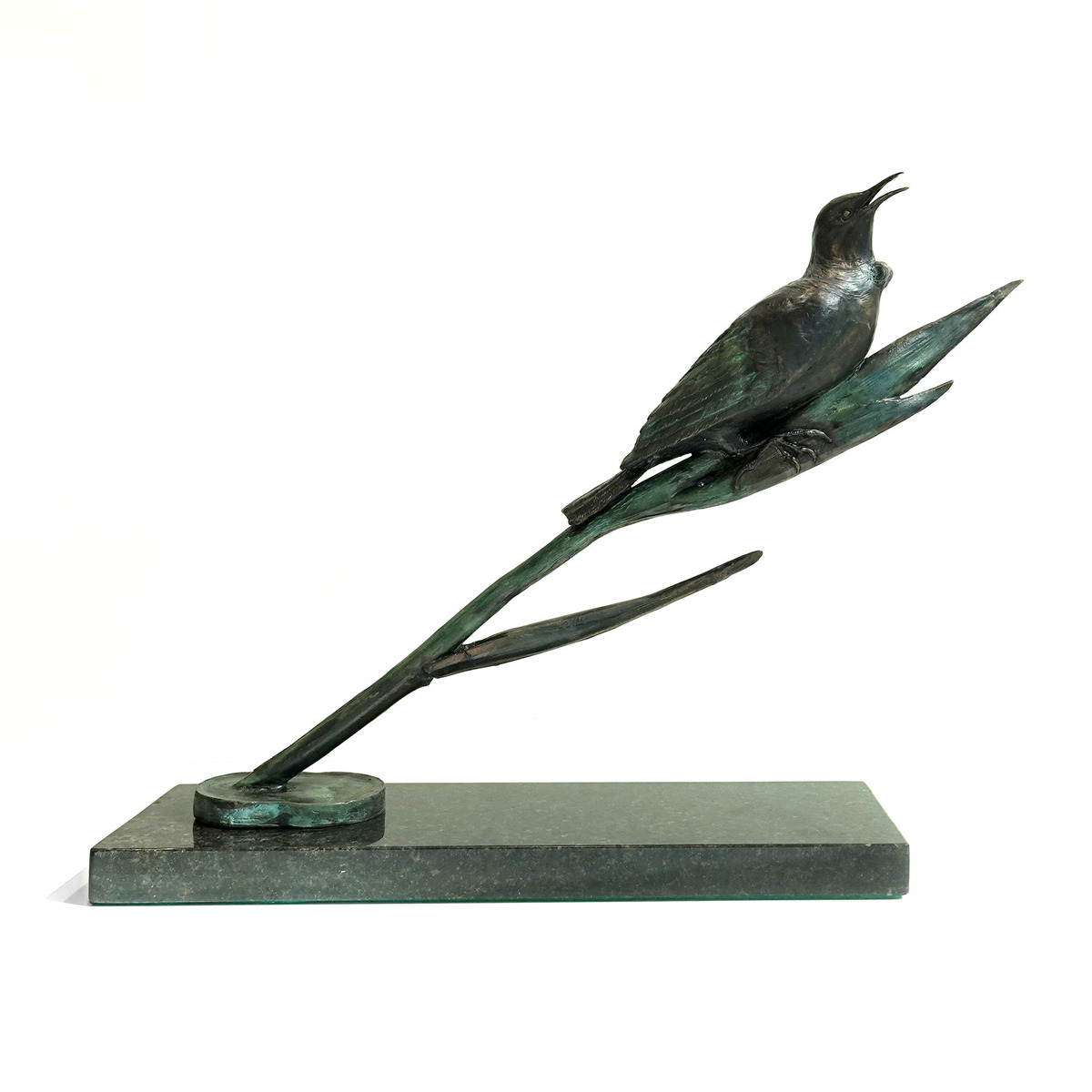 Singing Tui by Gerard McCabe – Parnell Gallery