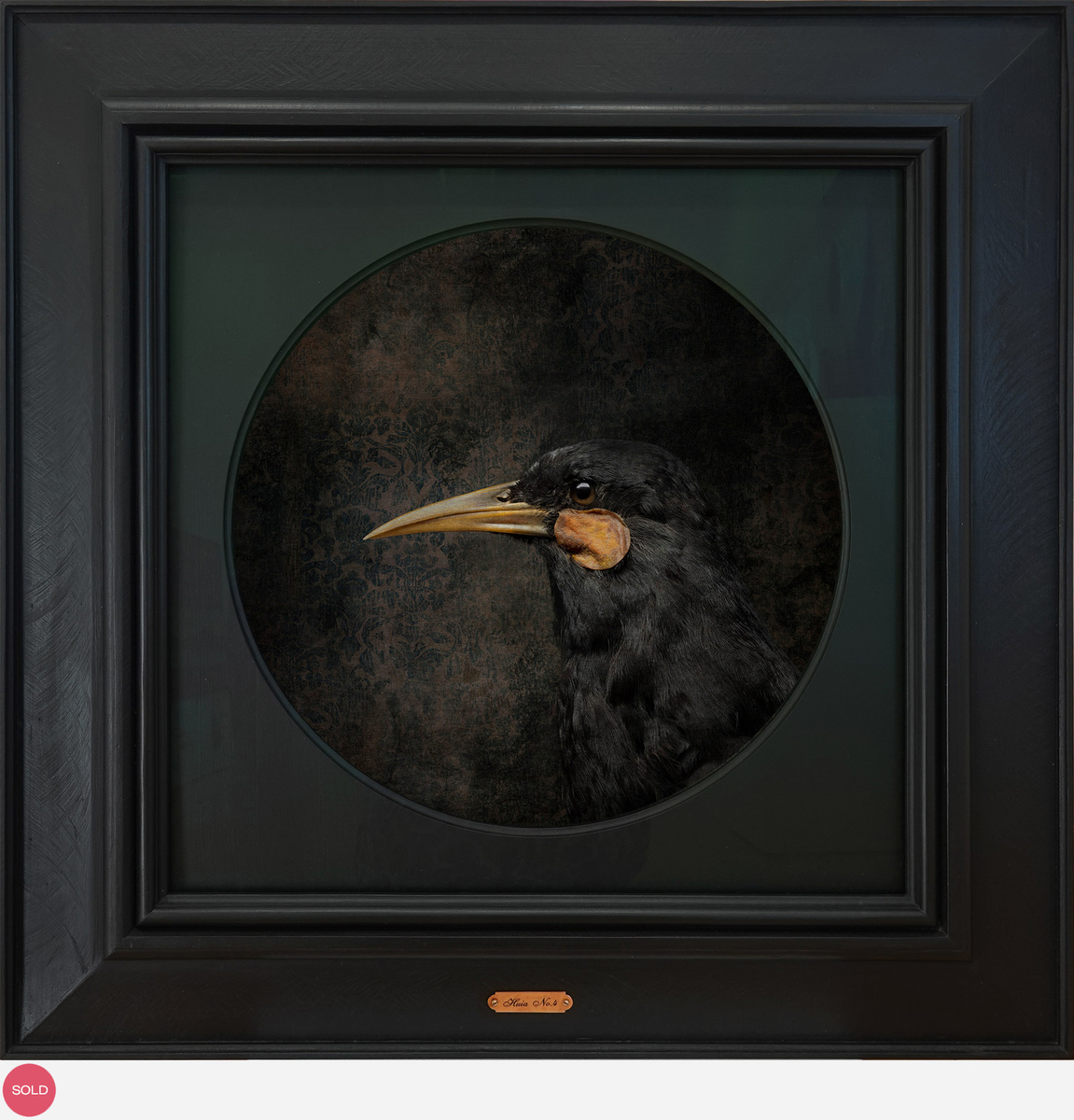 Huia No.4 by Jae Frew – Parnell Gallery