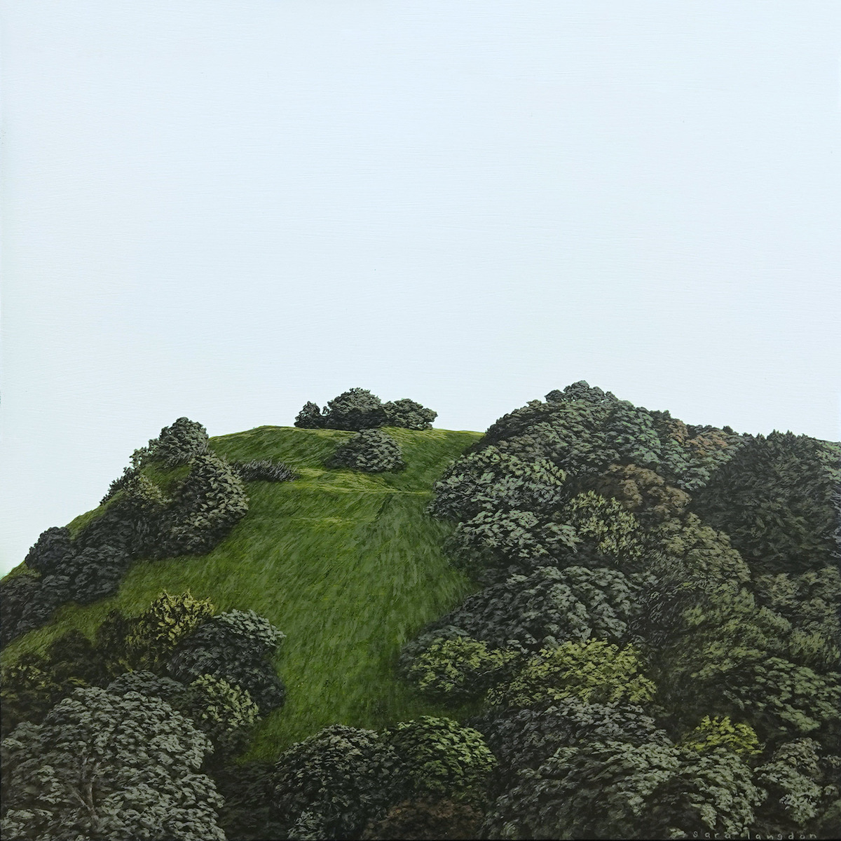 Mt Victoria by Sara Langdon – Parnell Gallery