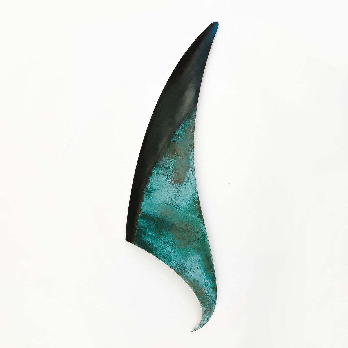 Orca Fin (Medium) by Daniel Wright – Parnell Gallery