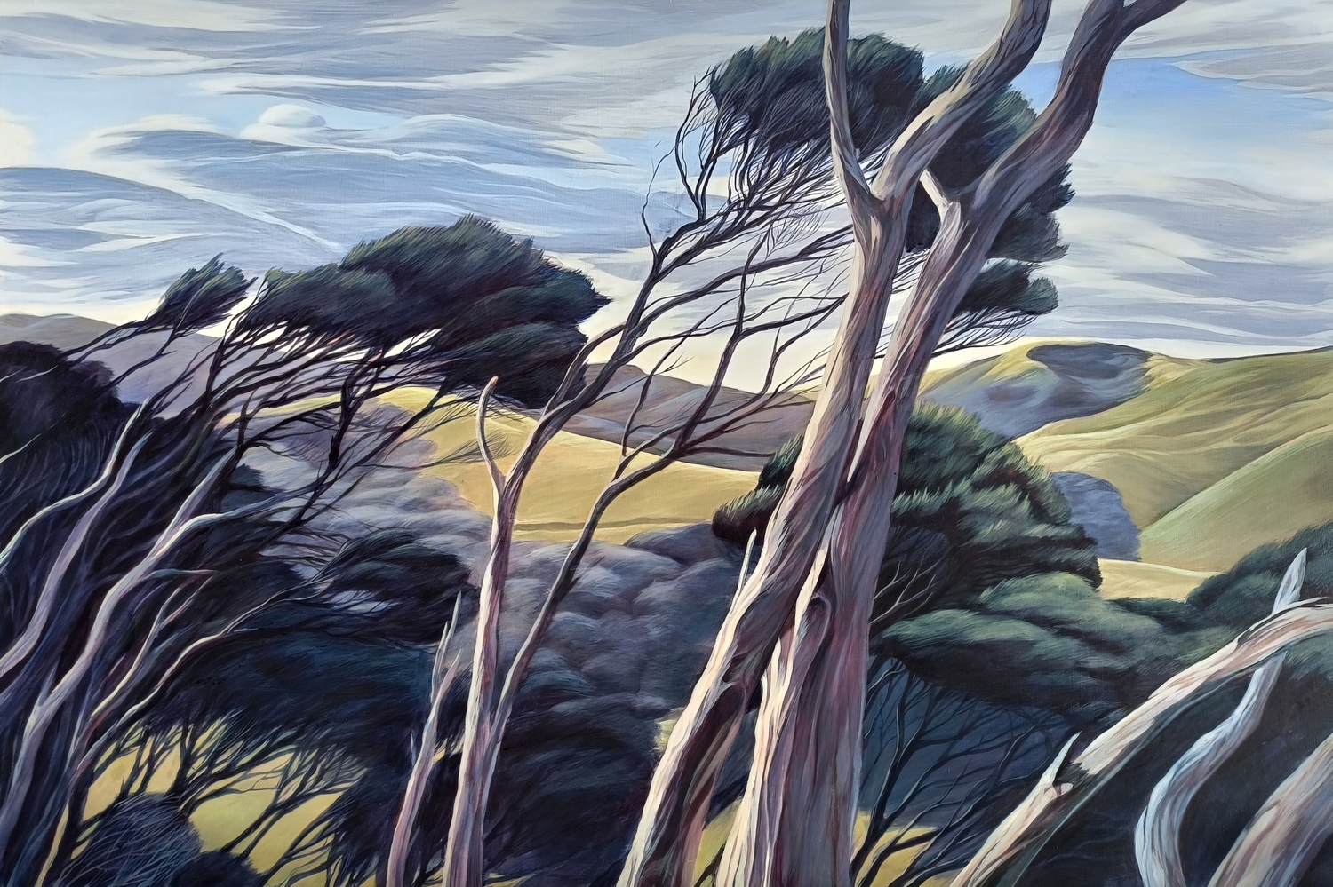 Helen Ollivier – Parnell Gallery