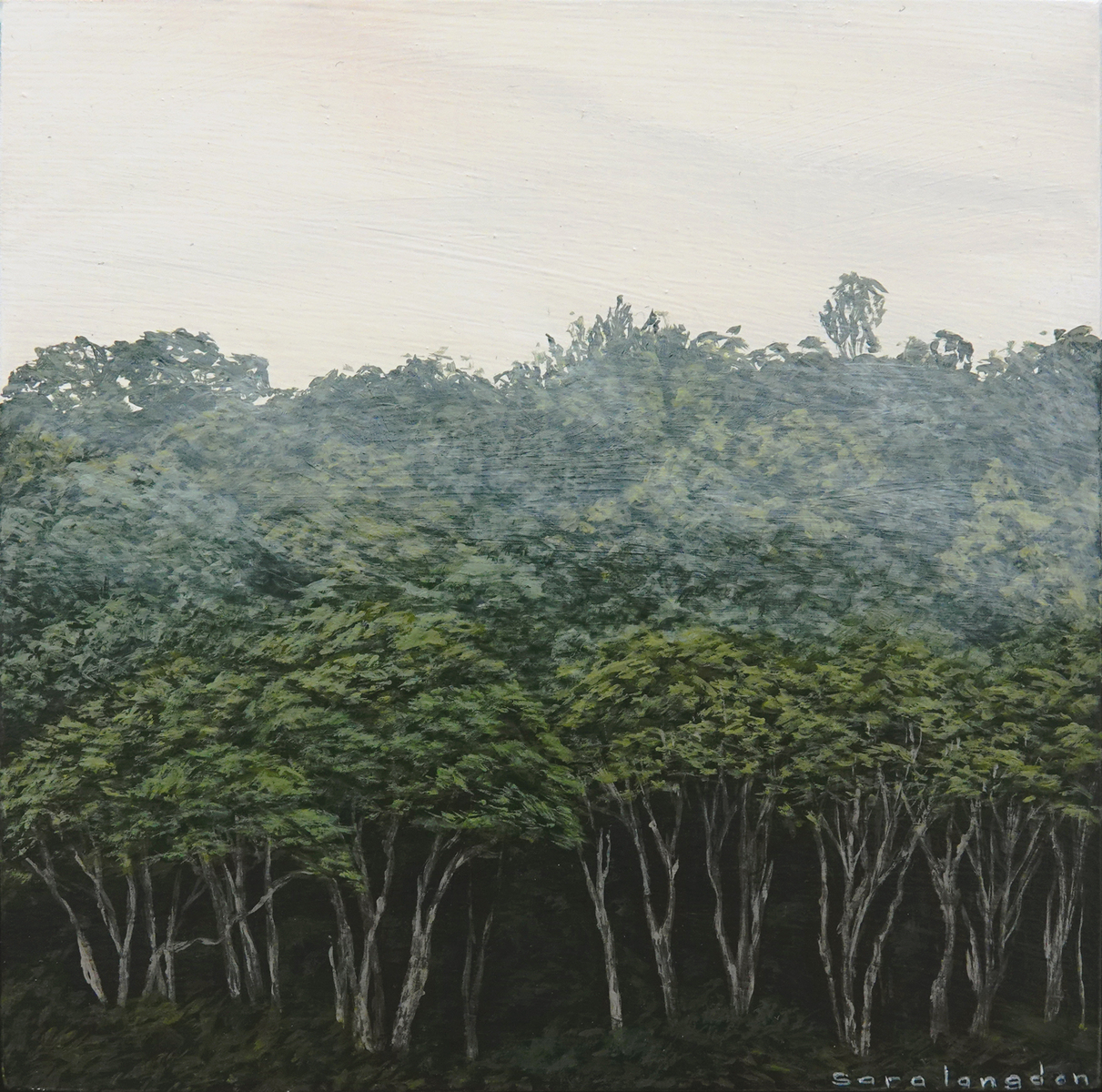 Silver Lining II by Sara Langdon – Parnell Gallery