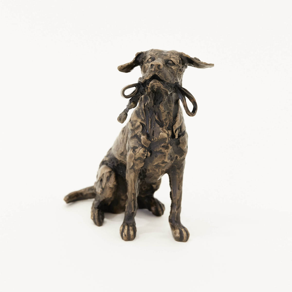 Ready Too by Richard Wells – Parnell Gallery