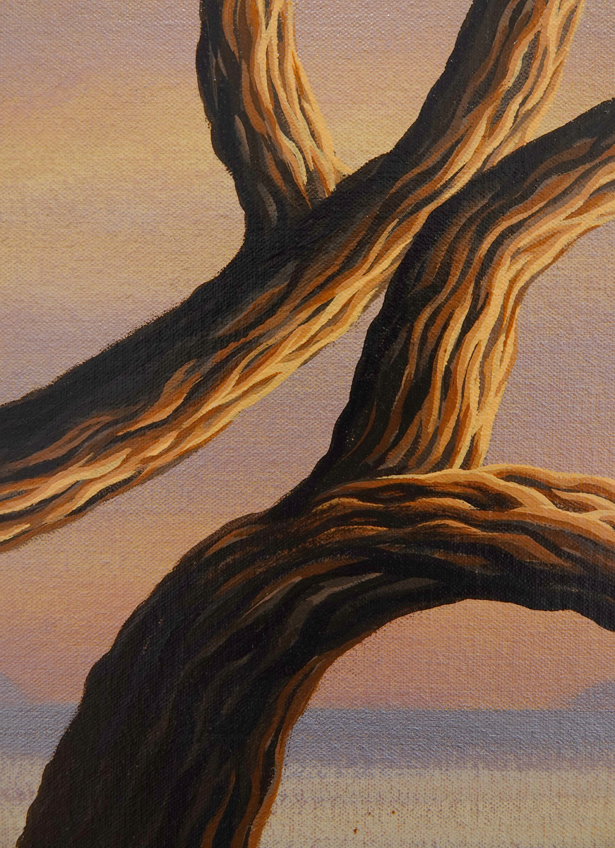 Kererū - Little Barrier by Tony Ogle – Parnell Gallery