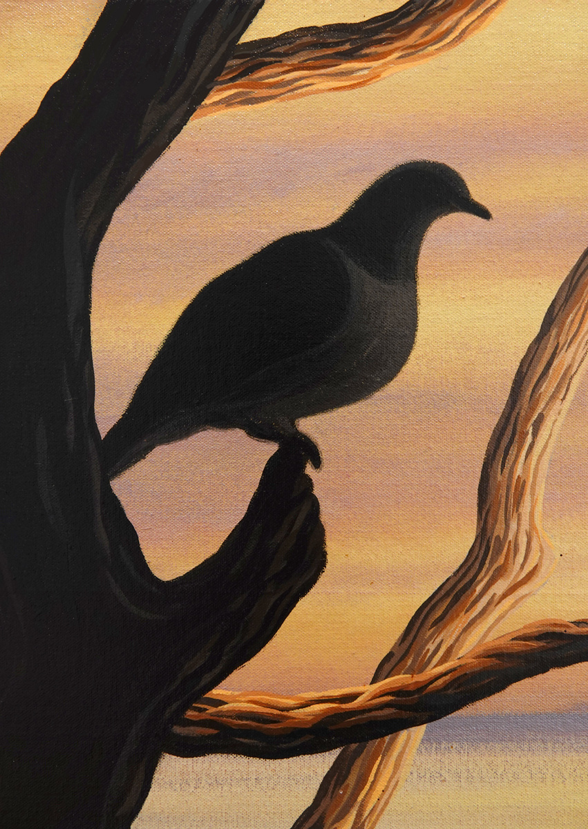 Kererū - Little Barrier by Tony Ogle – Parnell Gallery